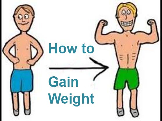 How To Gain Weight How To Gain Weight